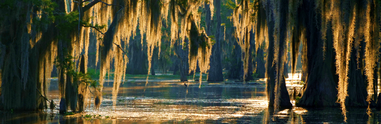 10 most beautiful places in Louisiana | Expedia